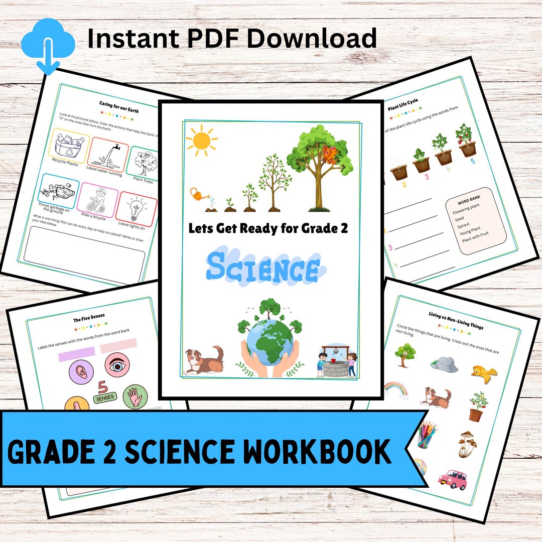 Grade 2 Science Workbook: Printable Activities, Homeschool PDF - Etsy