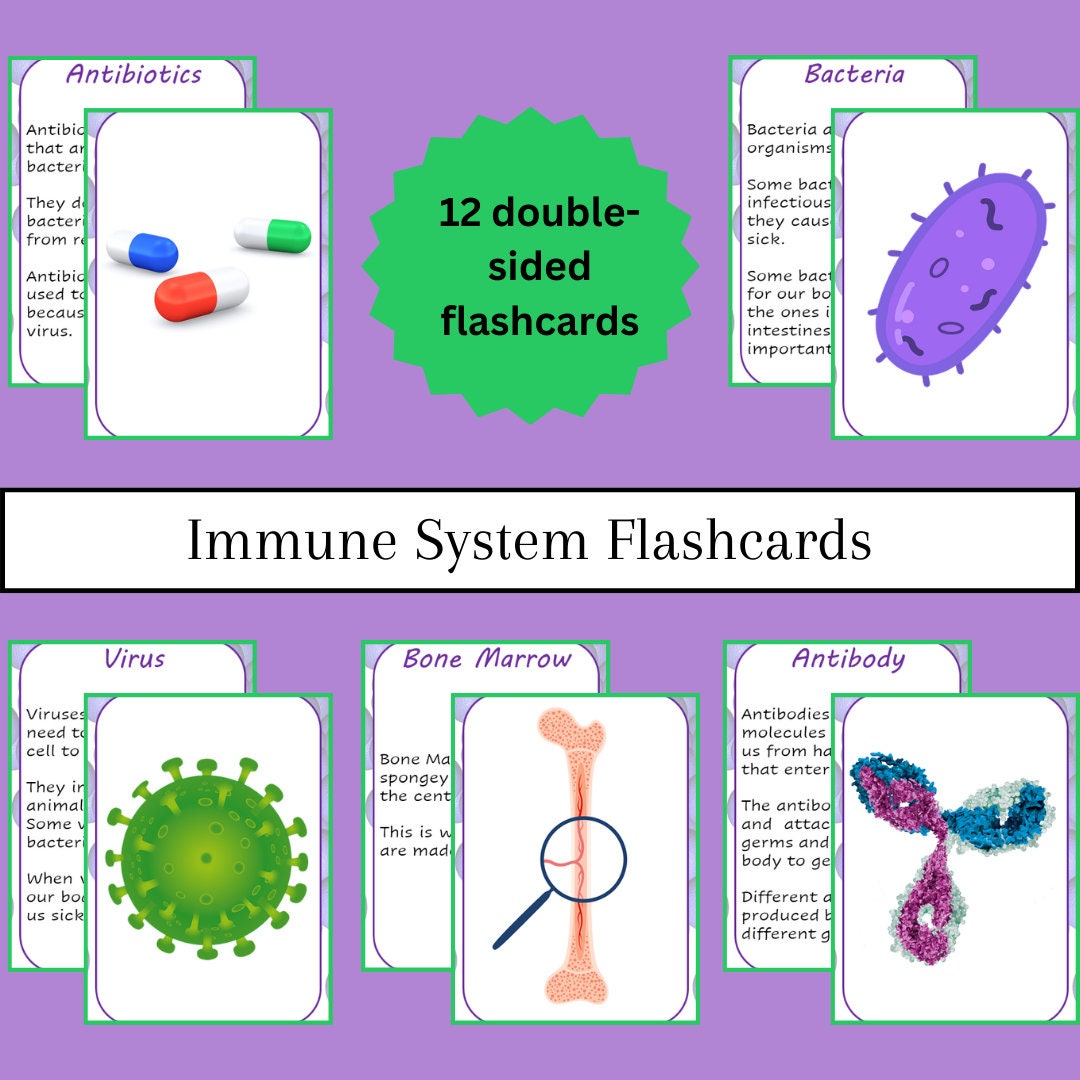 Immune System Flashcards – Printable Double-sided Study Cards for Kids ...