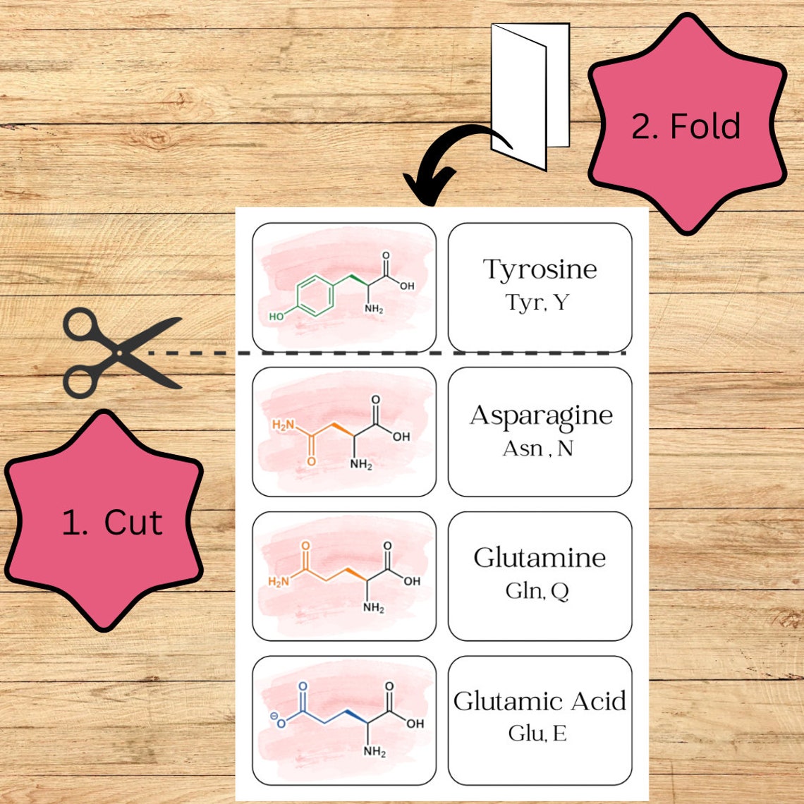 Printable Amino Acids Flashcards - Instant Download for Biochemistry ...