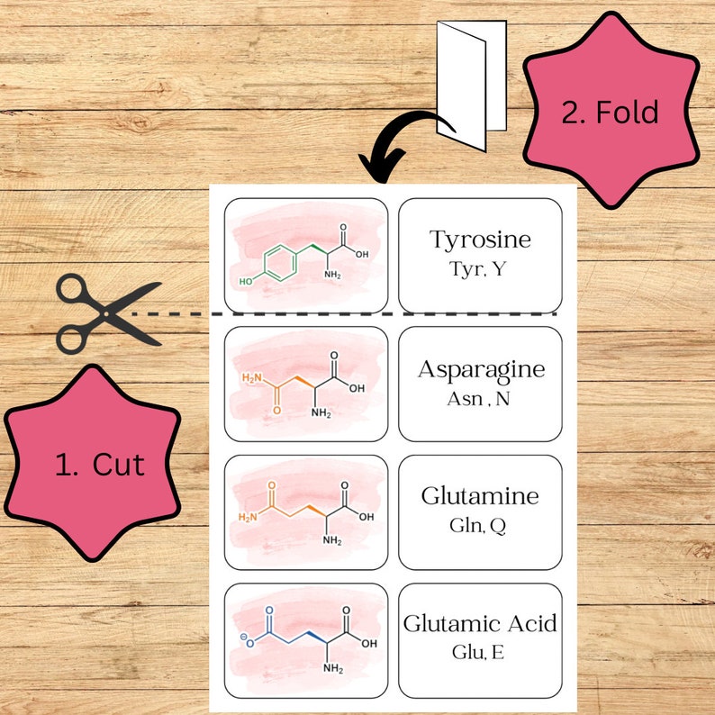 Printable Amino Acids Flashcards - Instant Download for Biochemistry ...