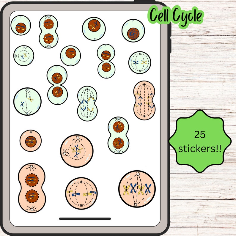 Microbiology, Cell Biology Pre-cropped Stickers for Goodnotes ...