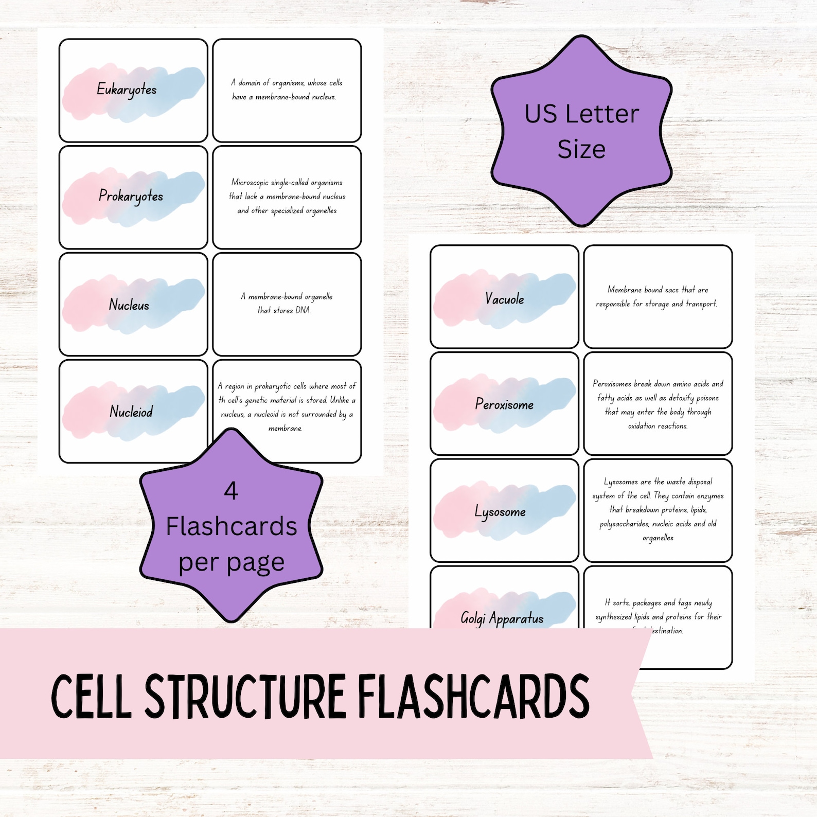 Animal, Plant, Bacterial Cell Model and Flashcards Unit Study Cellular ...