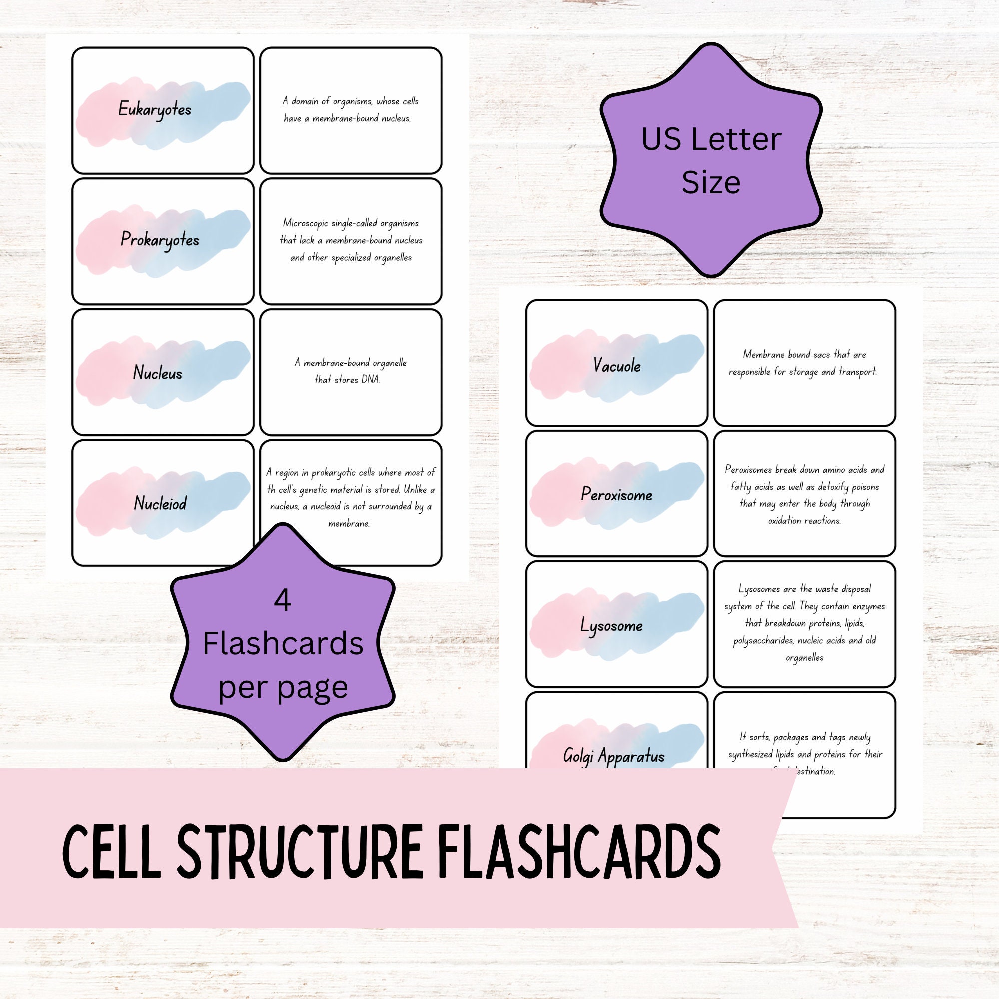 Animal, Plant, Bacterial Cell Model and Flashcards Unit Study Cellular ...