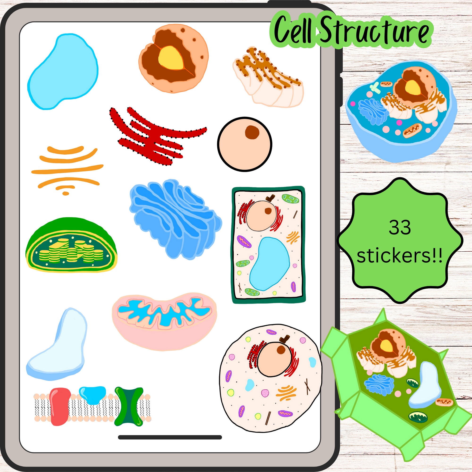 Microbiology, Cell Biology Pre-cropped Stickers for Goodnotes ...