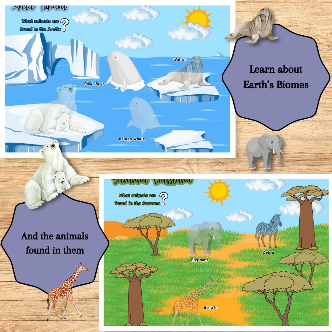 Introduction to the World Busy Book Montessori Learning Resources and ...