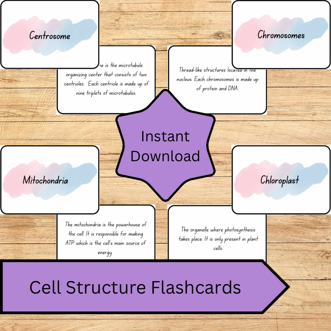 Animal Cell, Plant Cell, Bacteria Cell Flashcards Cell Structure ...