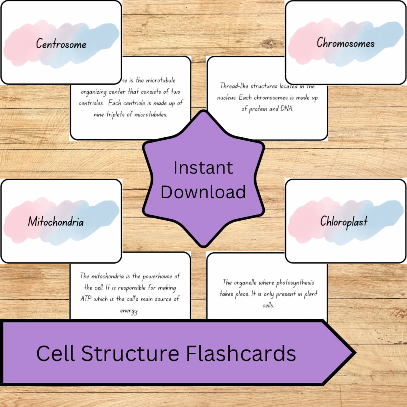 Animal Cell, Plant Cell, Bacteria Cell Flashcards Cell Structure ...