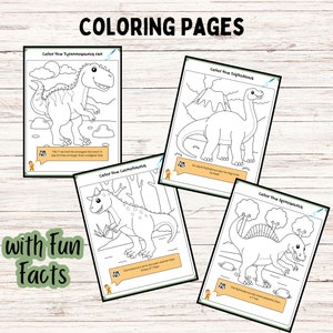 Dinosaur Activity and Coloring Book for Kids Printable Coloring Book ...