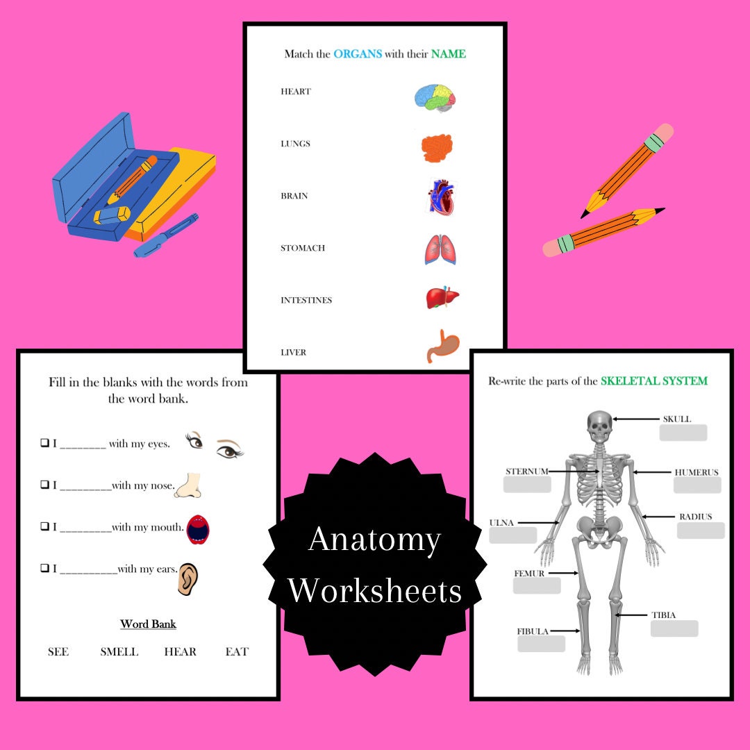 Anatomy Coloring and Activity Book for Kids Puzzle Book - Etsy