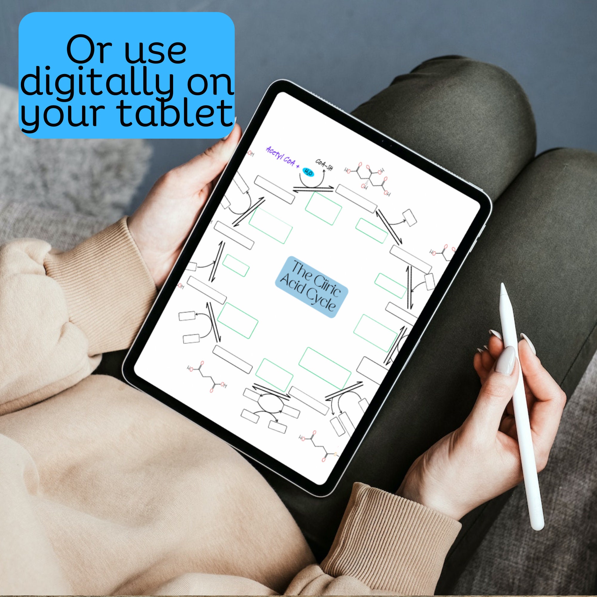 Cellular Respiration Biochemistry Pathways | Biochemistry, Medical ...
