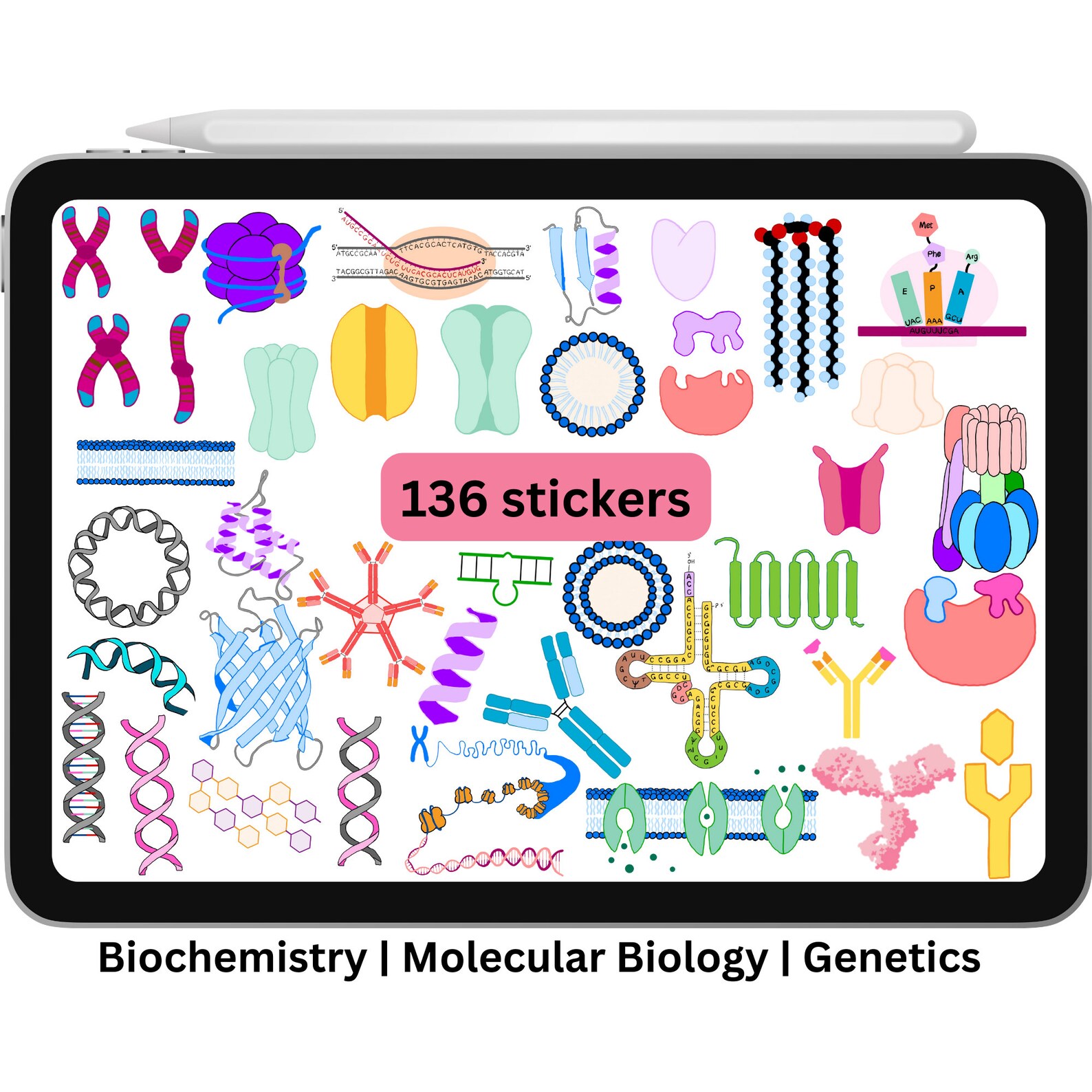 Biology Sticker Set for Anatomy, Microbiology, Cell Biology, Genetics ...