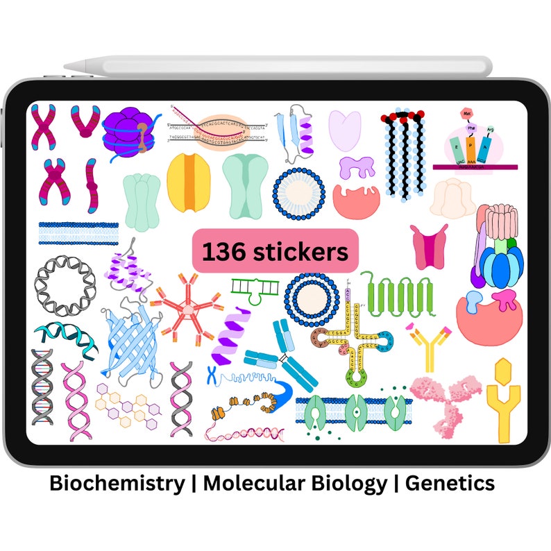 Biology Digital Sticker Bundle for Anatomy, Cell Biology, Microbiology ...