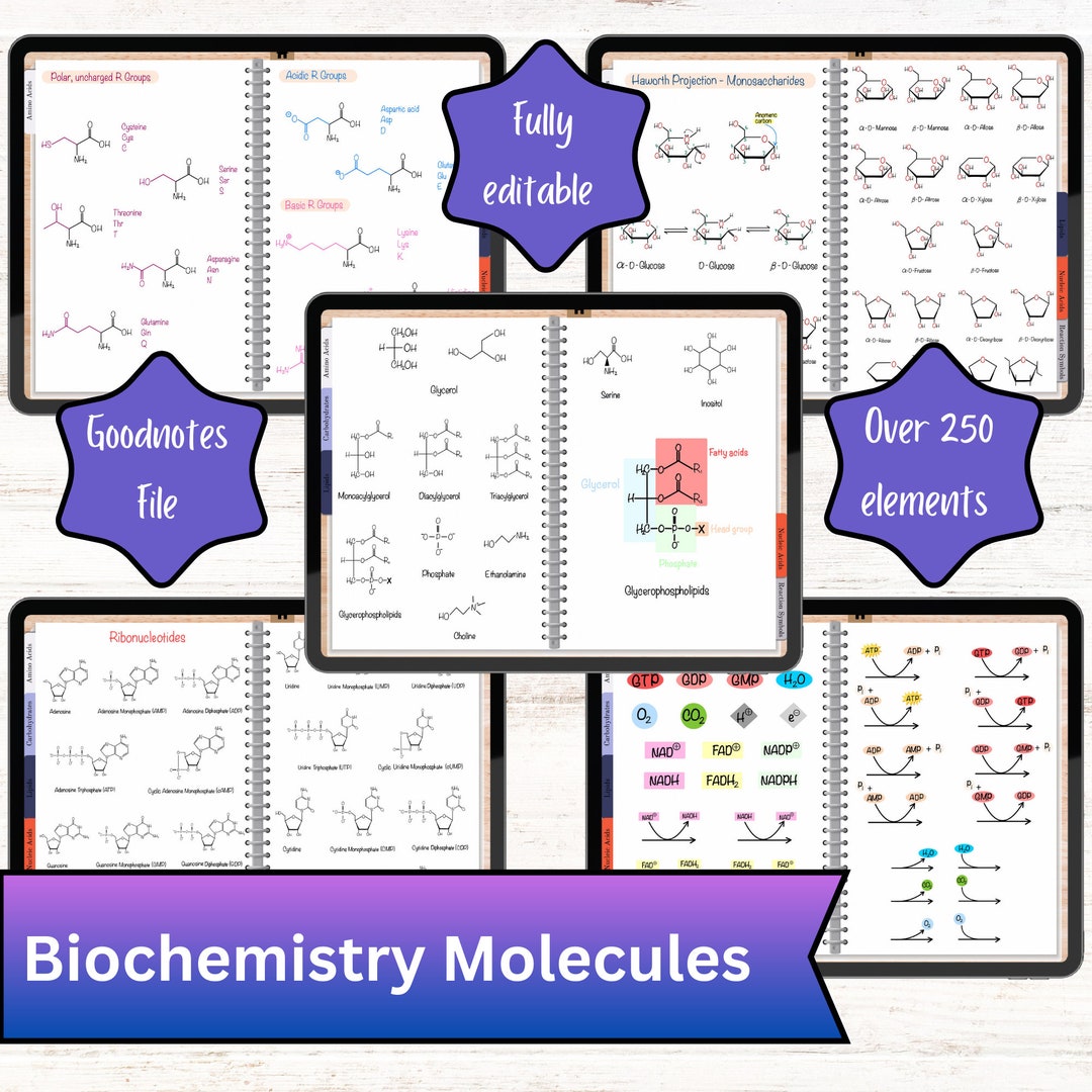Biochemistry Molecules Hyperlinked Digital Notebook | Amino Acids ...