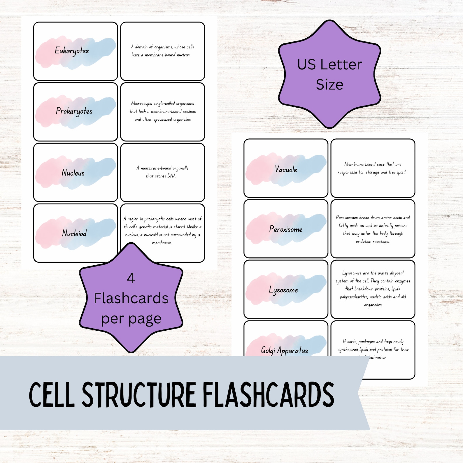 Interactive Cell Structure Activity Set With Flashcards - Etsy
