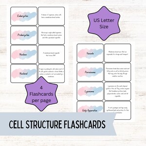 Interactive Cell Structure Activity Set With Flashcards - Etsy
