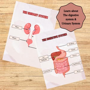 All About Poop and Pee: a Fun and Educational Busy Book for Kids ...