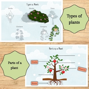 Plants Busy Book: Interactive Learning for Kids (PDF) - Etsy
