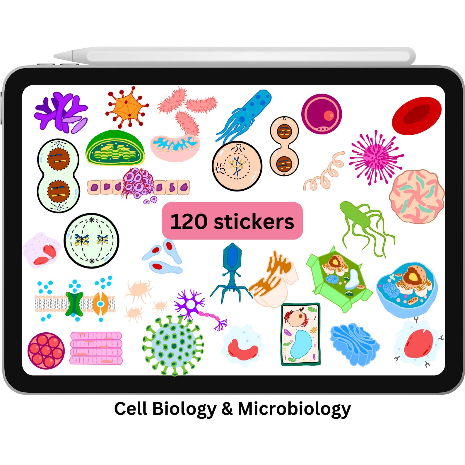 Biology Sticker Set for Anatomy, Microbiology, Cell Biology, Genetics ...