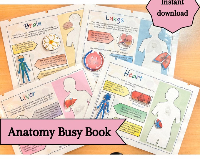 5 Senses, Human Body Anatomy Busy Book Science School Resources Anatomy ...