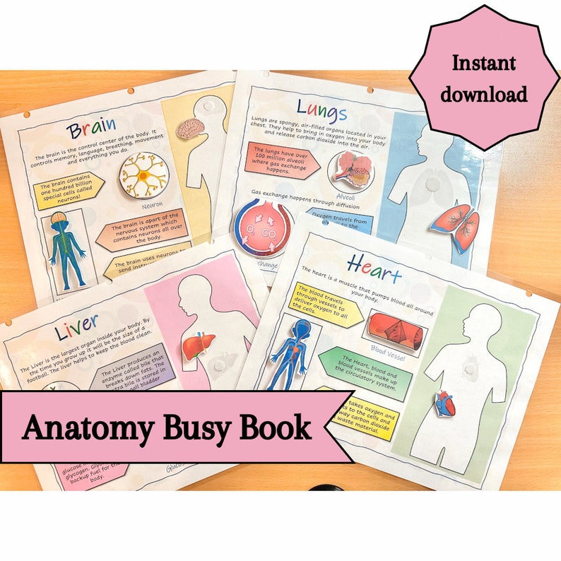 Montessori Anatomy Busy Book Quiet Time Book Anatomy Activity Binder ...