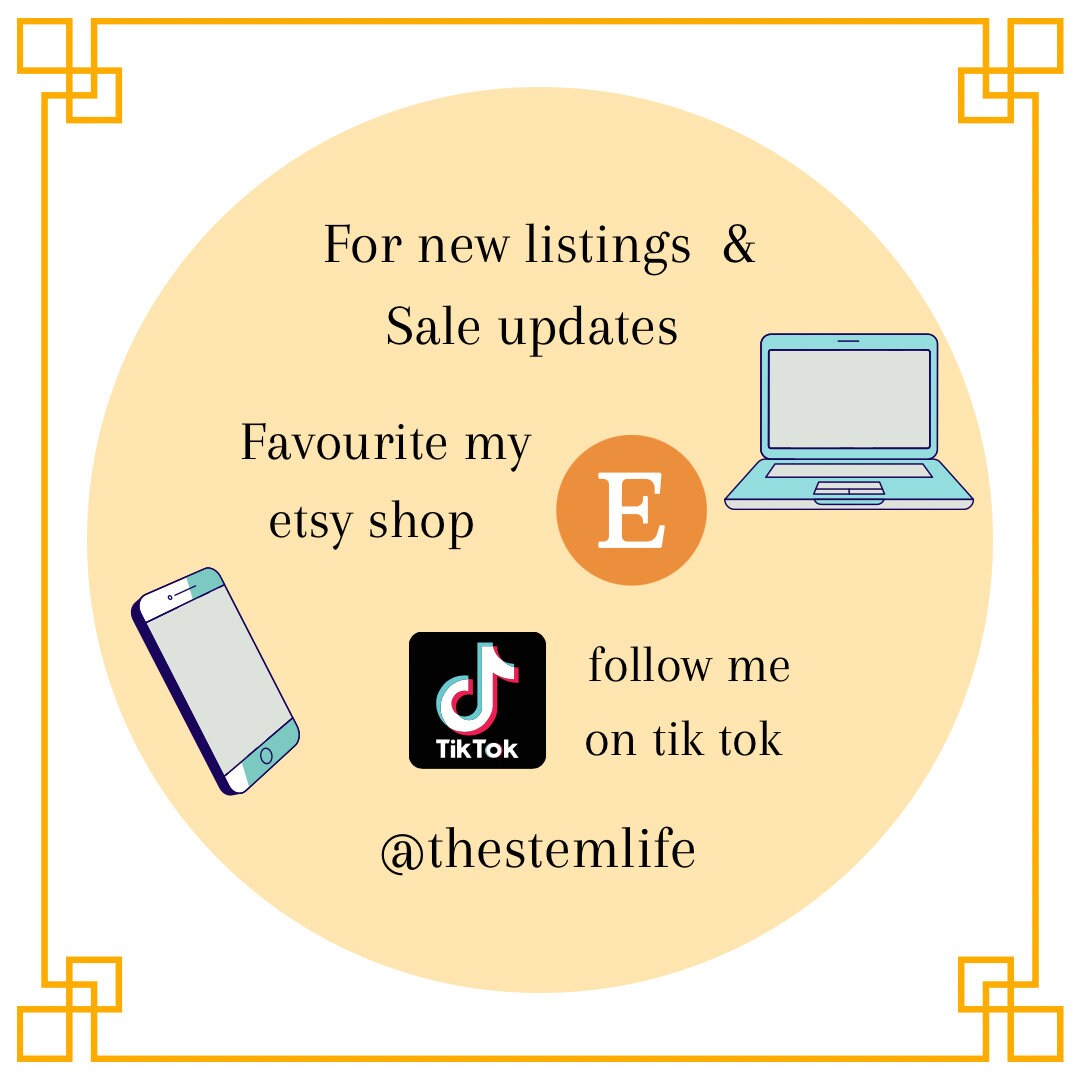 Cell Structure Activity Set: Animal, Plant & Bacteria Cell Models ...