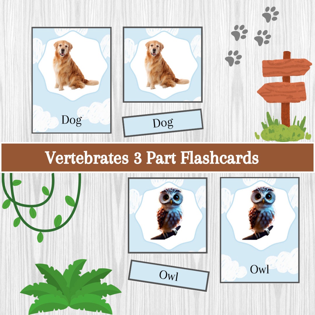 Animal Flashcards for Kids Classification of Vertebrates Sorting Cards ...