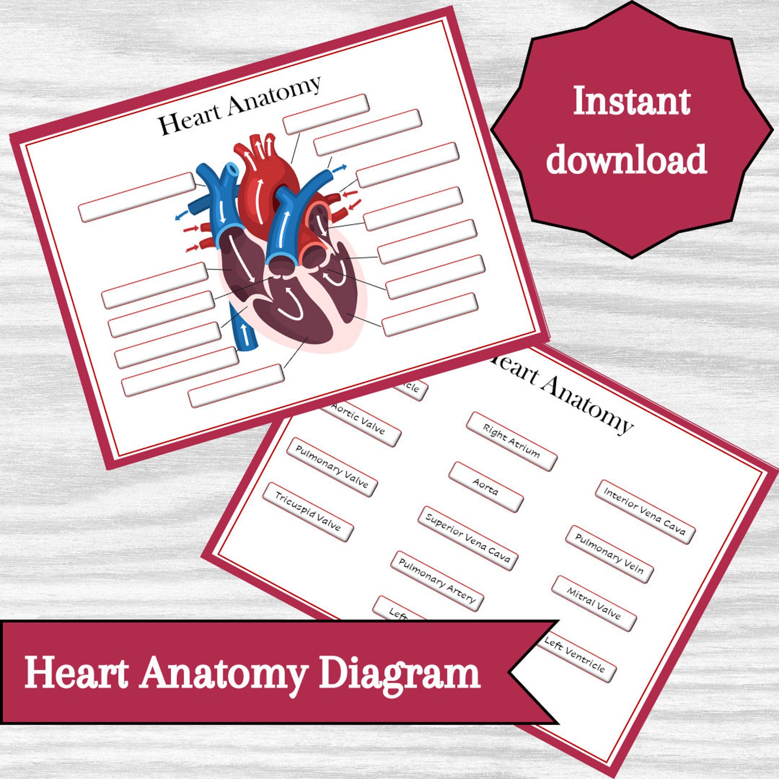 Heart Anatomy Labeling Diagram Classroom Poster, Decor Study Notes ...