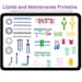 Digital Stickers for Biochemistry, Molecular Biology & Genetics - Etsy