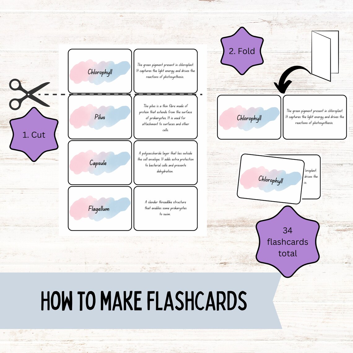 Interactive Cell Structure Activity Set With Flashcards - Etsy