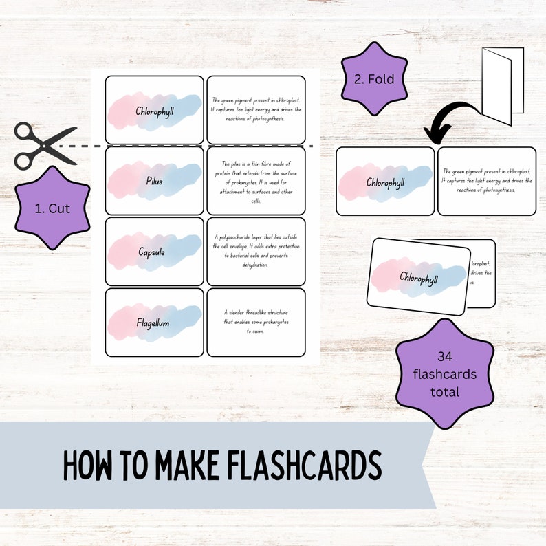Interactive Cell Structure Activity Set With Flashcards - Etsy