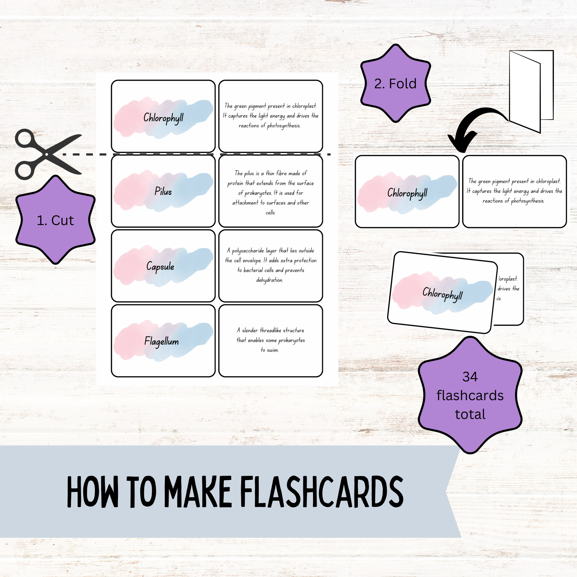 Interactive Cell Structure Activity and Flashcards | Educational ...