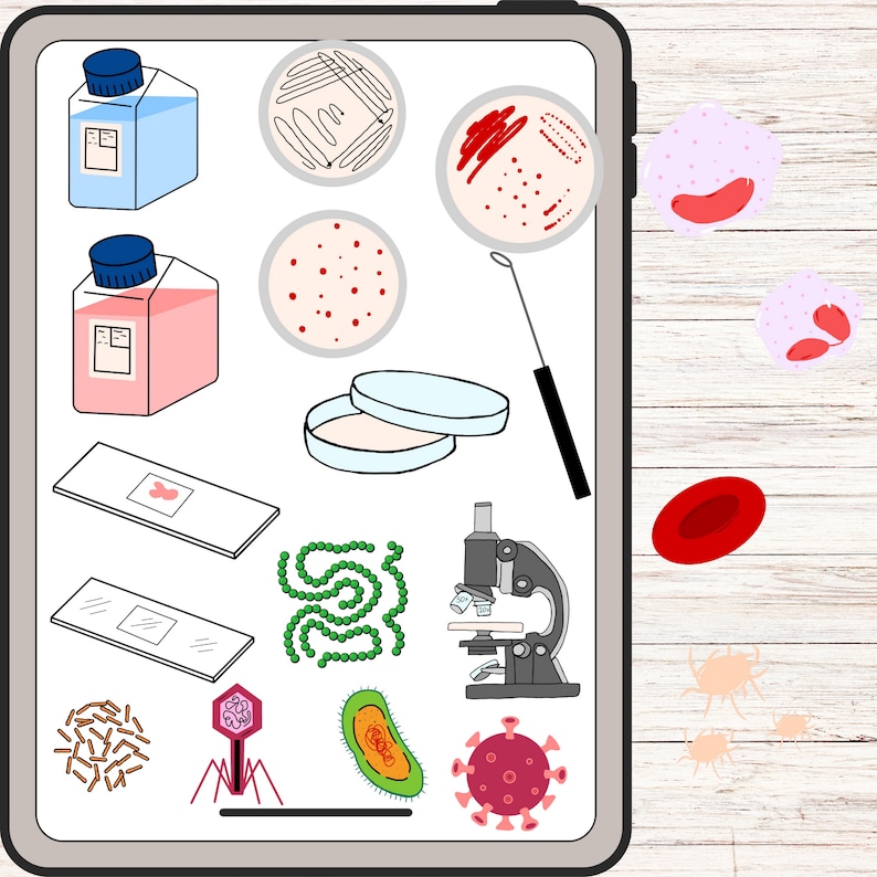 Medical Laboratory Digital Stickers for Notes and Presentations - Etsy