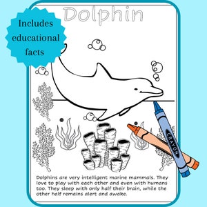 Marine Animals Printable Coloring Pages for Kids - Etsy Canada
