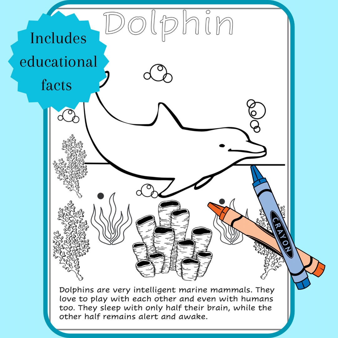 Marine Animals Printable Coloring Pages for Kids - Etsy Canada
