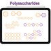 Digital Stickers for Biochemistry, Molecular Biology & Genetics - Etsy