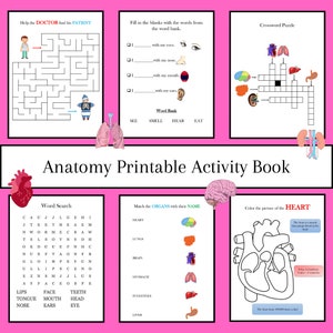 Human Anatomy Printable Coloring and Activity Book for Kids With Word ...