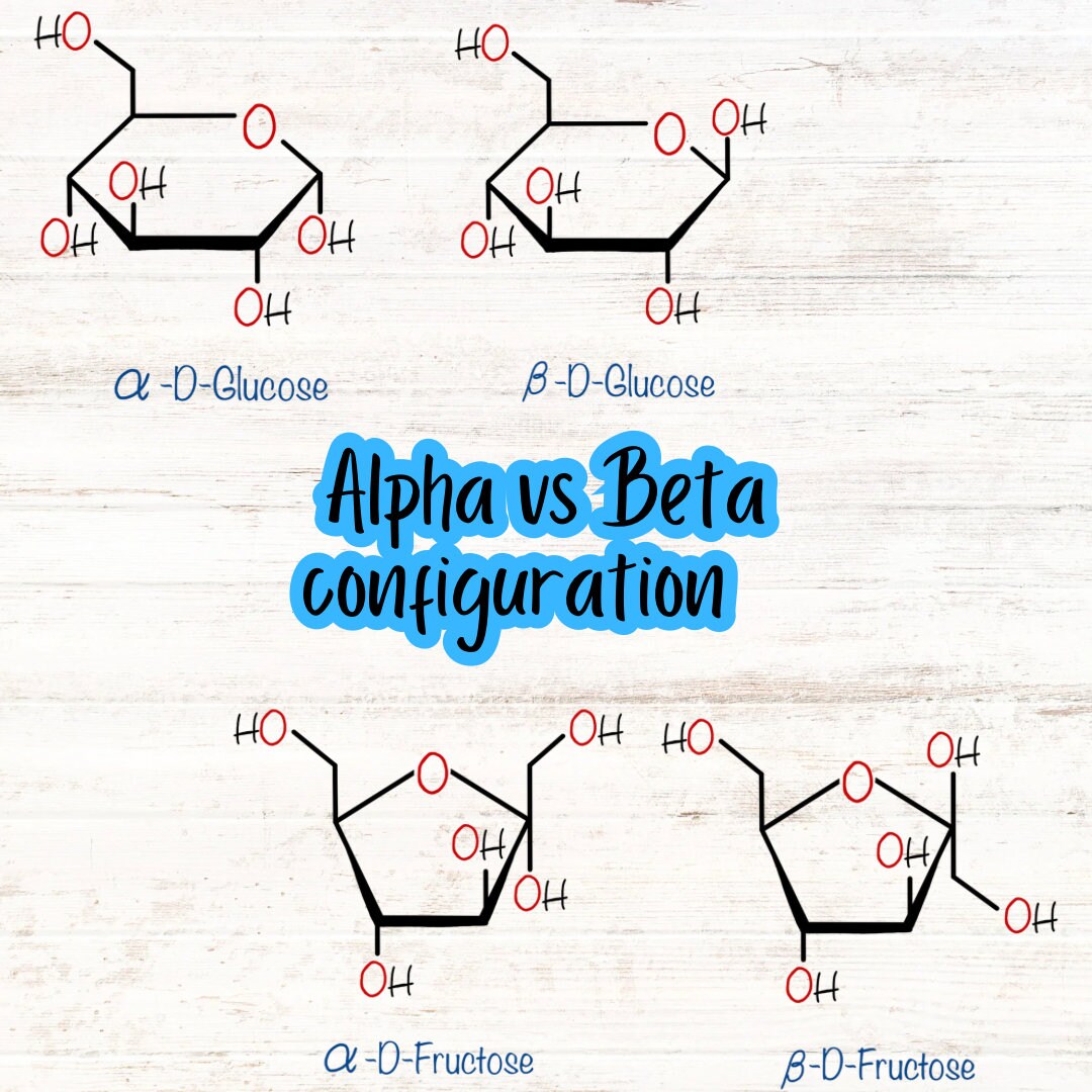 Carbohydrates Digital Sticker Set | Educational & Functional Chemistry ...