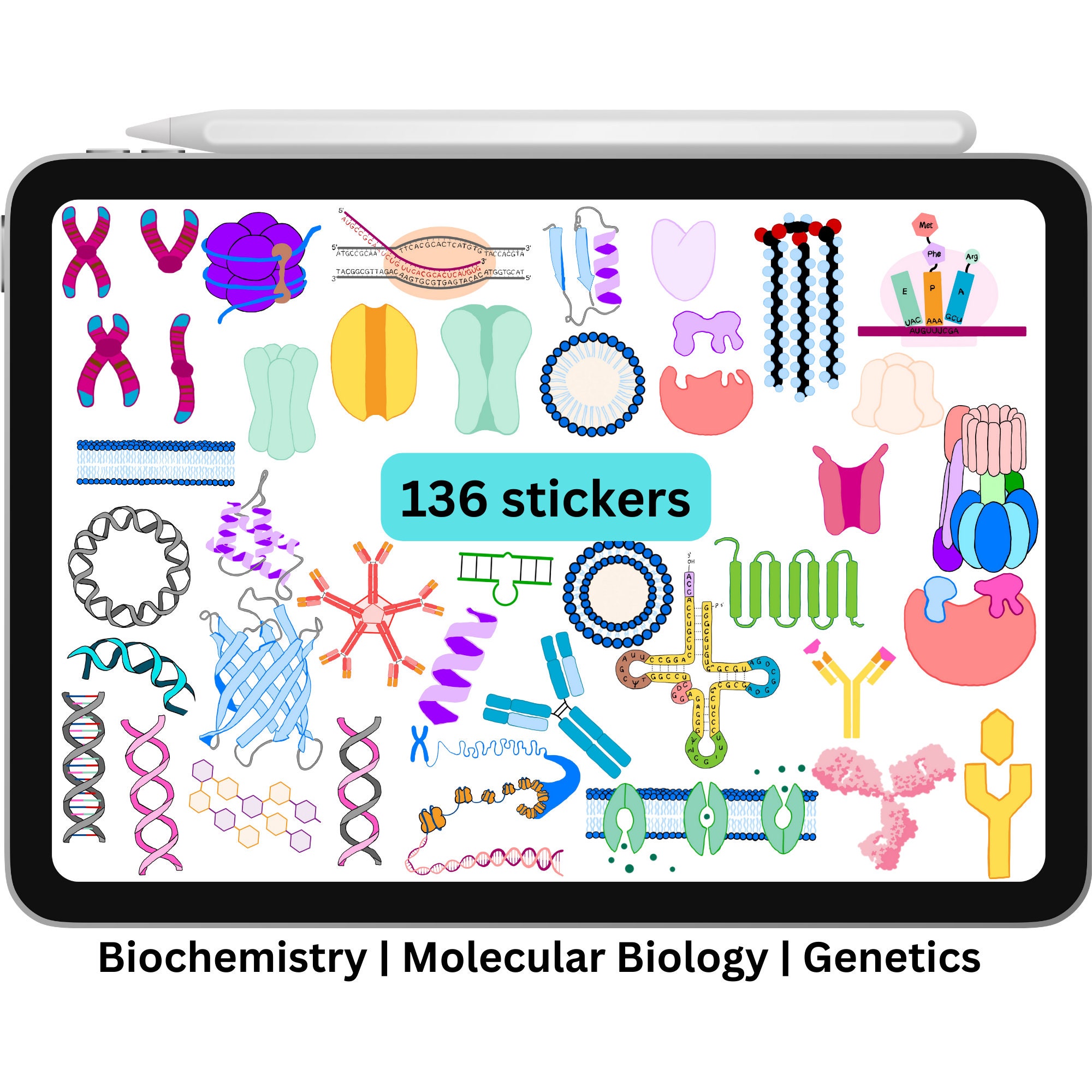 Digital Science Sticker Set for Biochemistry Students and Educators - Etsy