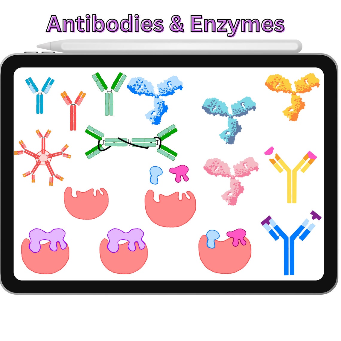 Digital Stickers for Biochemistry, Molecular Biology & Genetics ...
