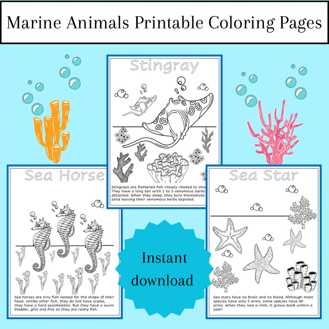 Marine Animals Printable Coloring Pages for Kids - Etsy Canada