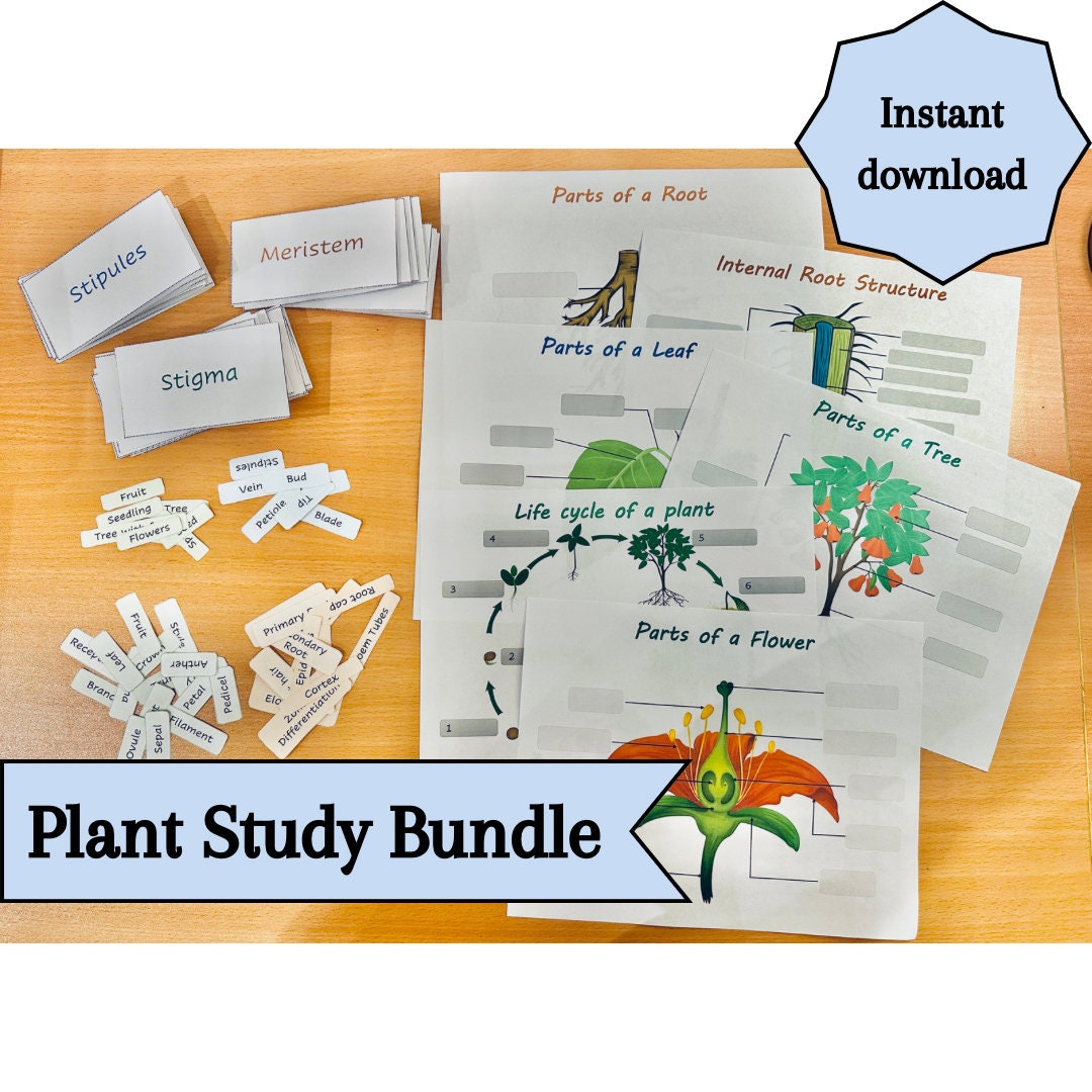 Parts of a Plant Printable Study Bundle Homeschool Plant Biology Unit ...