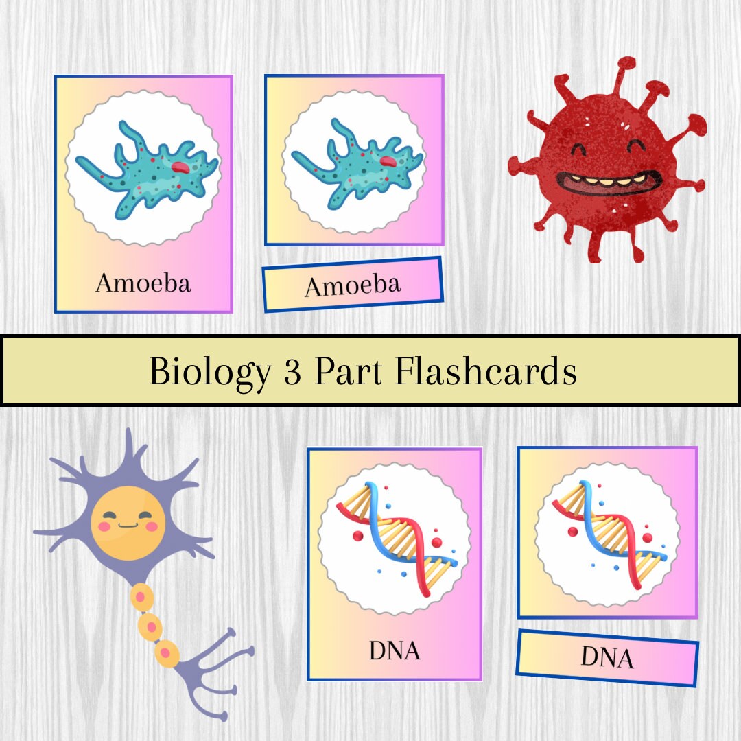 Biology Flascards for Kids Classification 3-part Naming Flashcards for ...