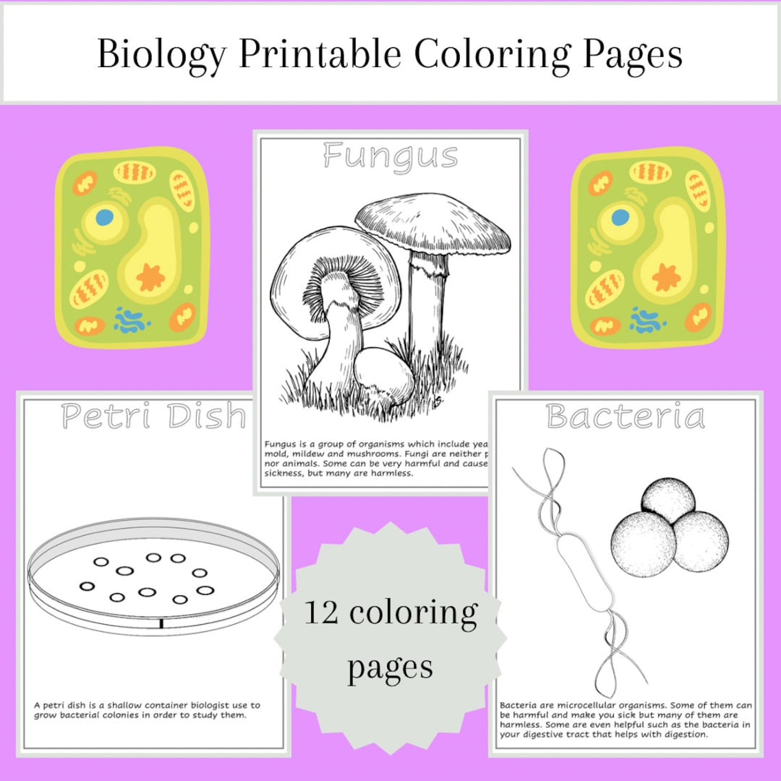 Biology Printable Coloring Pages Biology for Kids Biology for ...