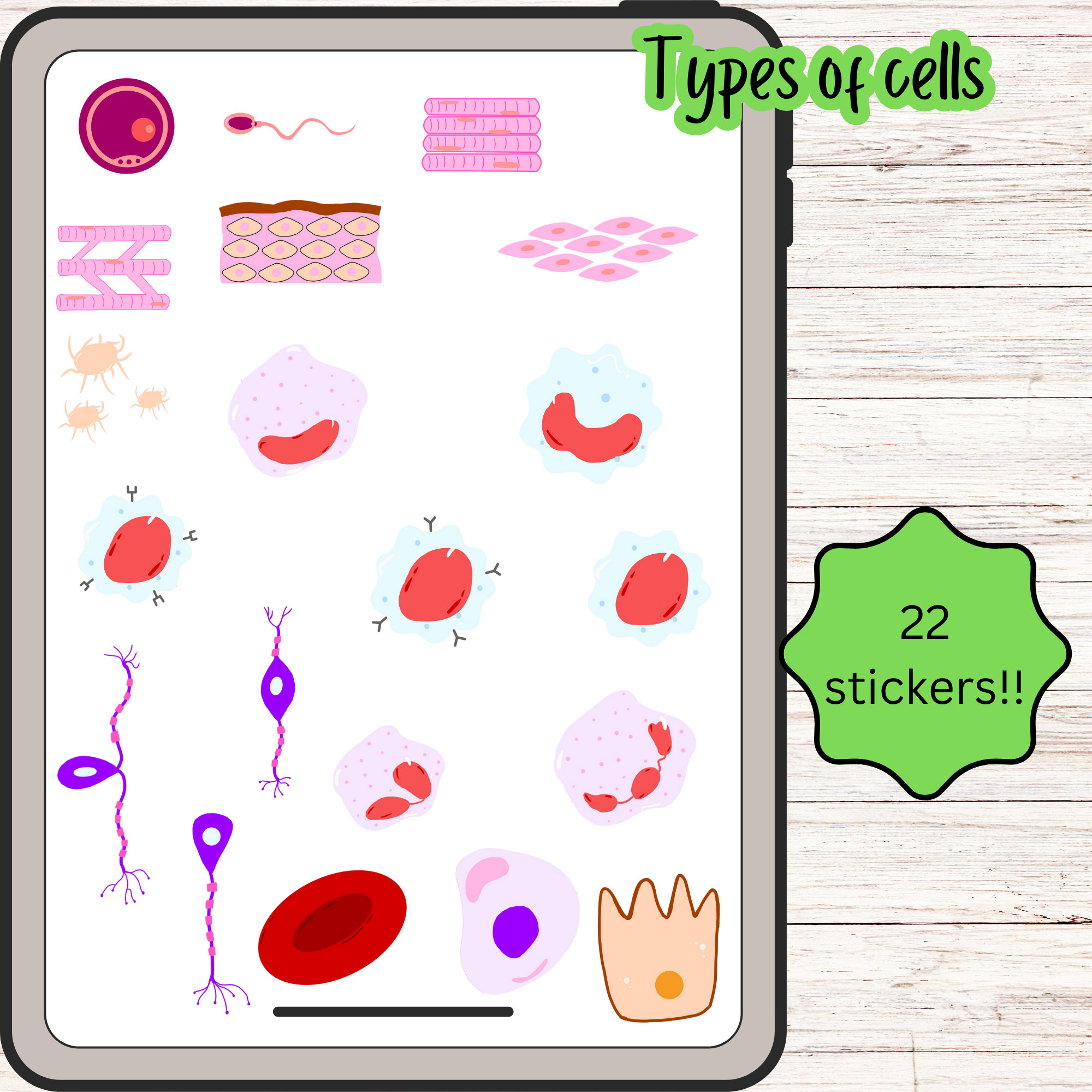 Microbiology, Cell Biology Pre-cropped Stickers for Goodnotes ...