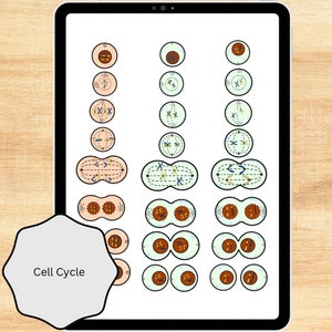 Digital Stickers for Biology, Biochemistry, Nursing and Medical ...