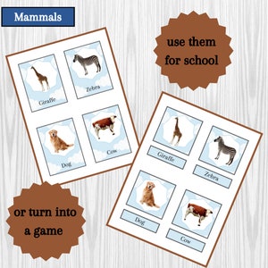 Montessori Inspired Animals 3-part Classification Flashcards Featuring ...
