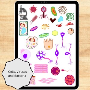 Digital Stickers for Biology, Biochemistry, Nursing and Medical ...