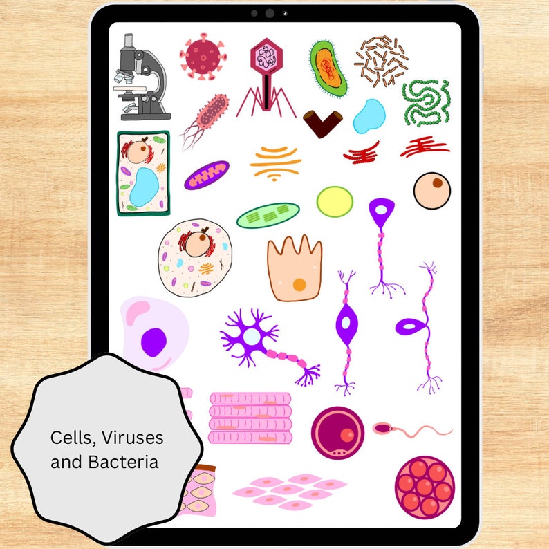 Digital Stickers for Biology, Biochemistry, Nursing and Medical ...