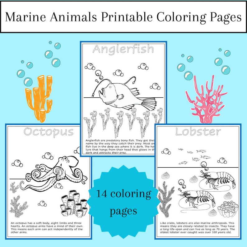 Marine Animals Printable Coloring Pages for Kids - Etsy Canada