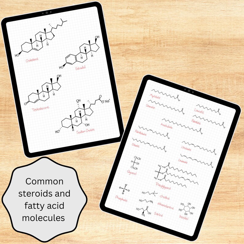 Biochemistry Molecules & Sticker Set - Digital Goodnotes File for ...
